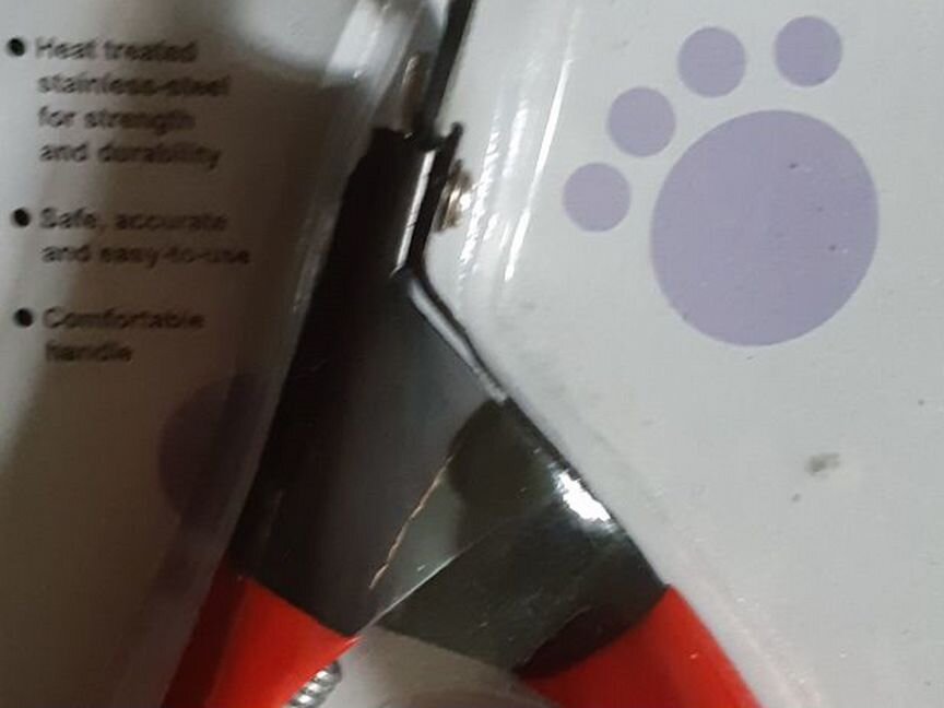 Товары для животных