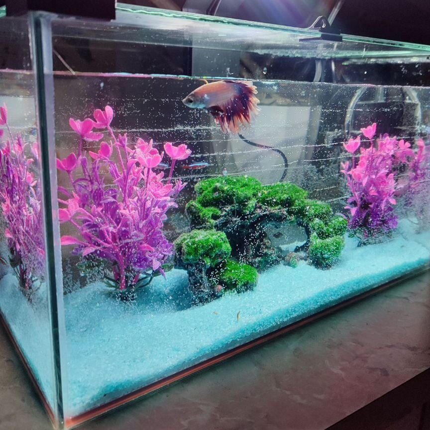 Аквариум под ключ