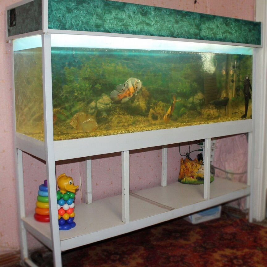 Аквариум с рыбками