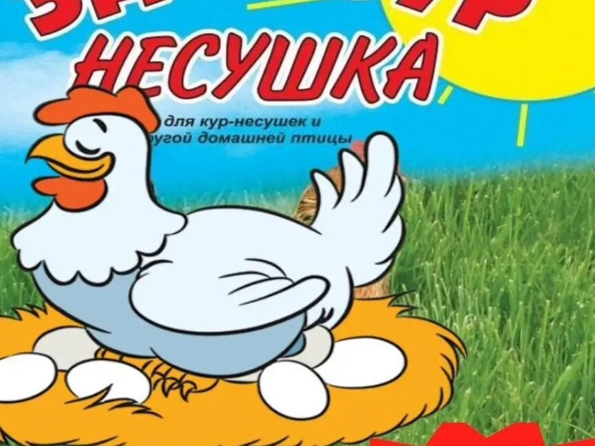 Корм для кур несушек