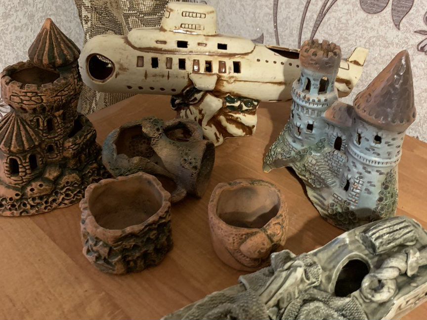 Аквариумистика