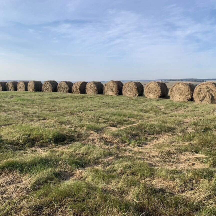 Сено в рулонах 110 пресс