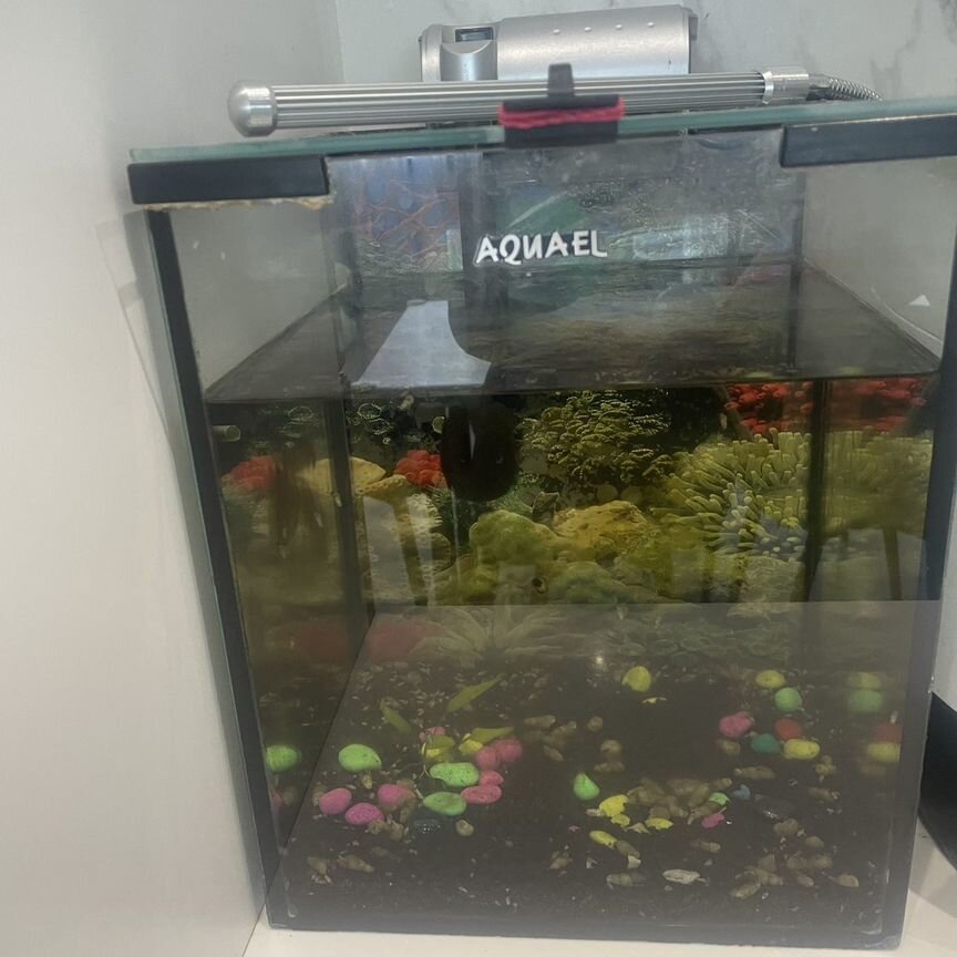 Аквариум aquael