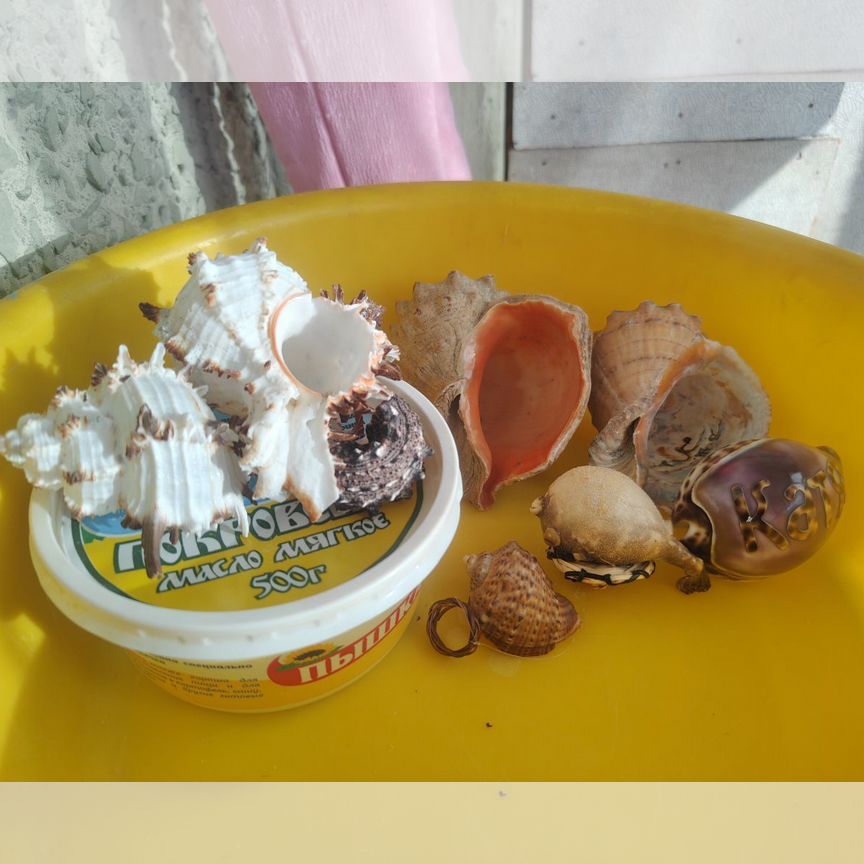Ракушки, камешки
