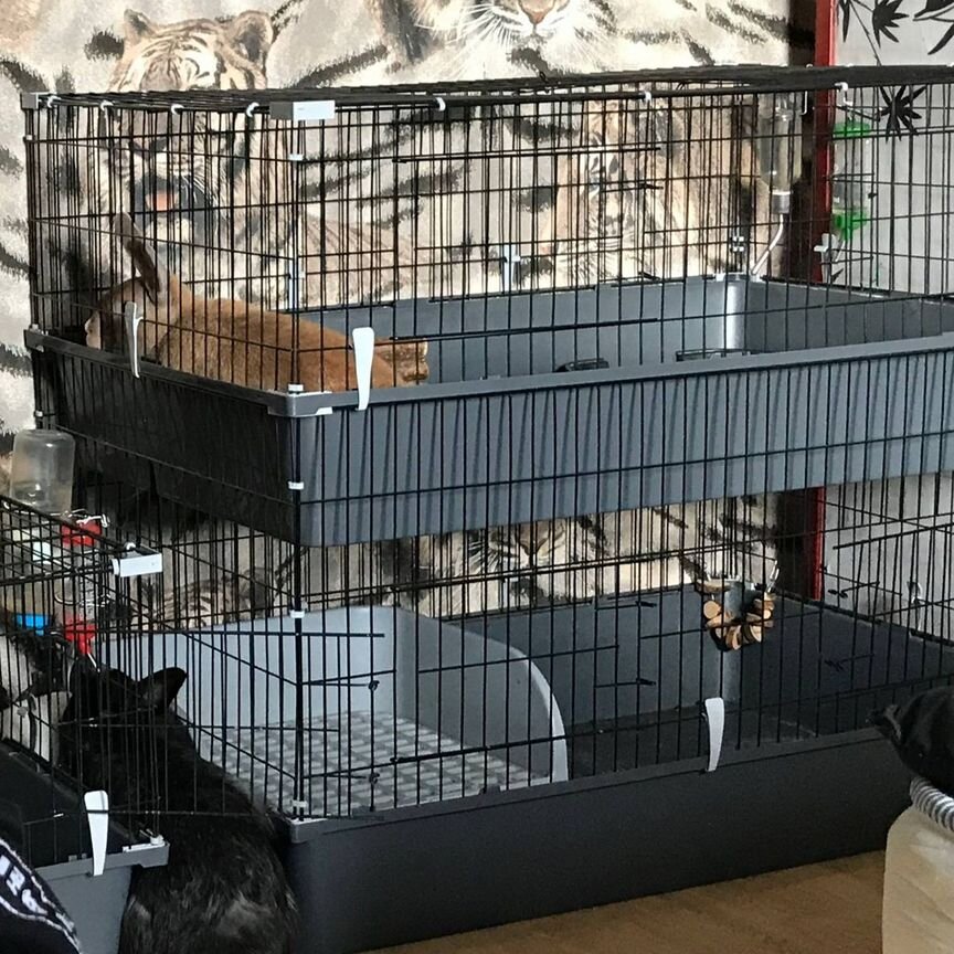 Клетка двухэтажная для кроликов с принадлежностями