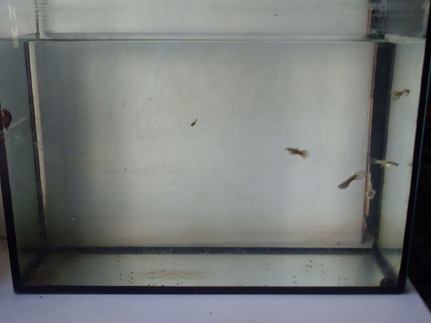 Аквариум на 6 литров