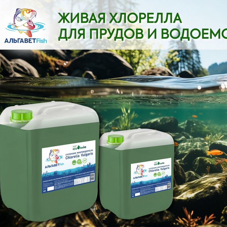 Хлорелла для водоемов Альгавет Fish, канистра 10 л