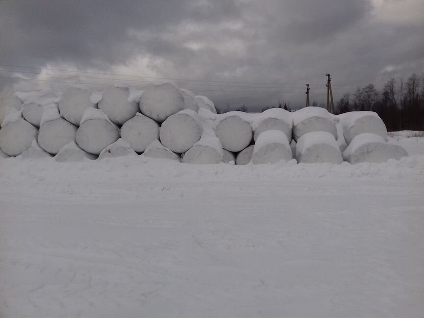 Продам сенаж