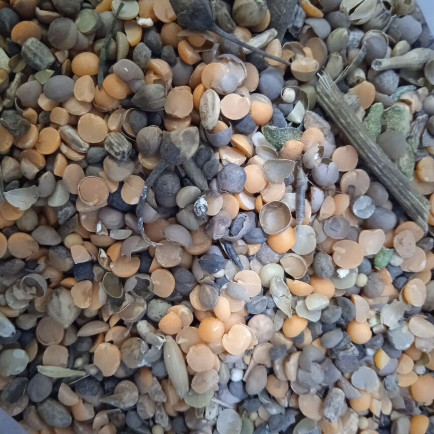 Отходы вики