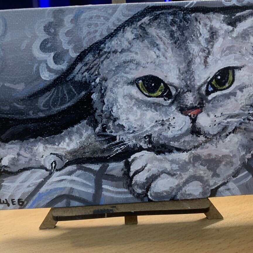 Котик картина