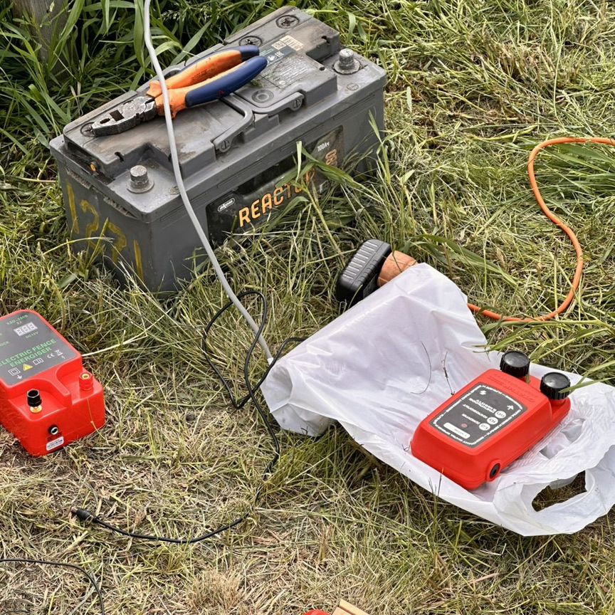 Электропастух для крс