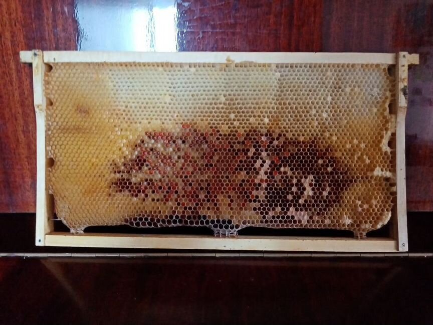 Сушь для пчел