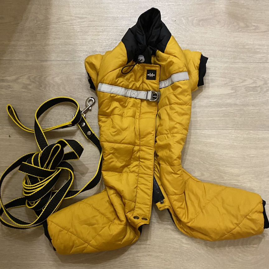 Одежда для собак средних пород