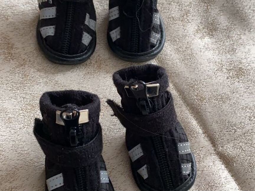 Ботинки для собаки