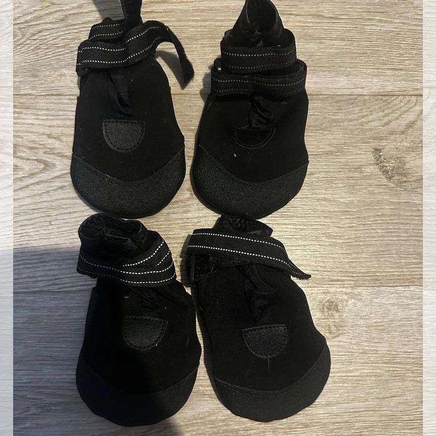 Ботинки для собак