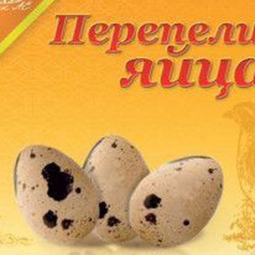 Яйца перепелиные инкубационное, столовое