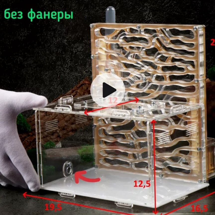 Формикарий для муравьев