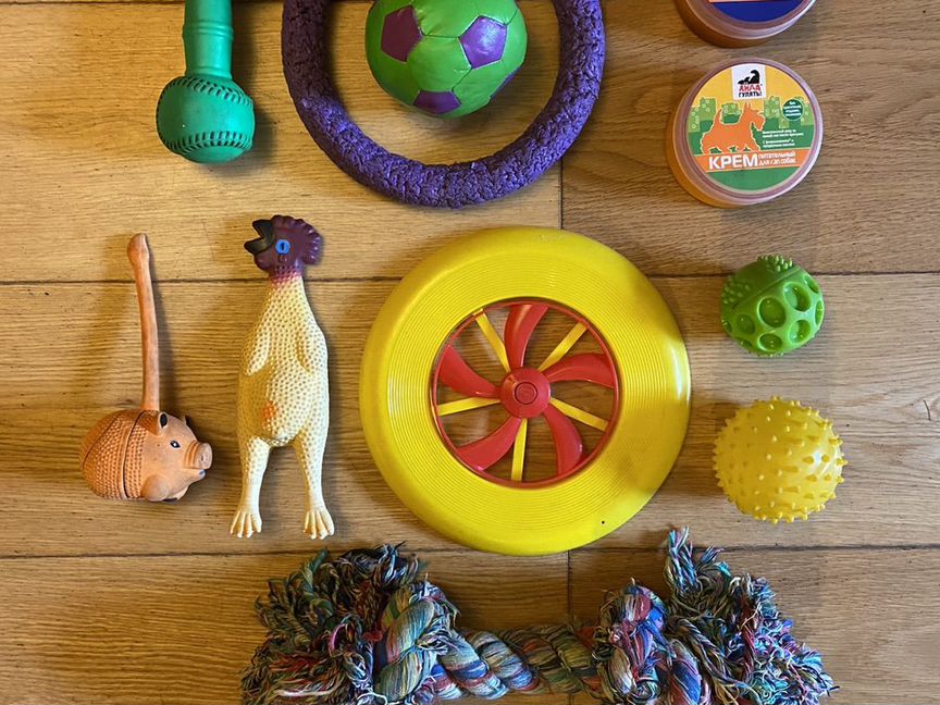 Игрушки и уход доя собаки