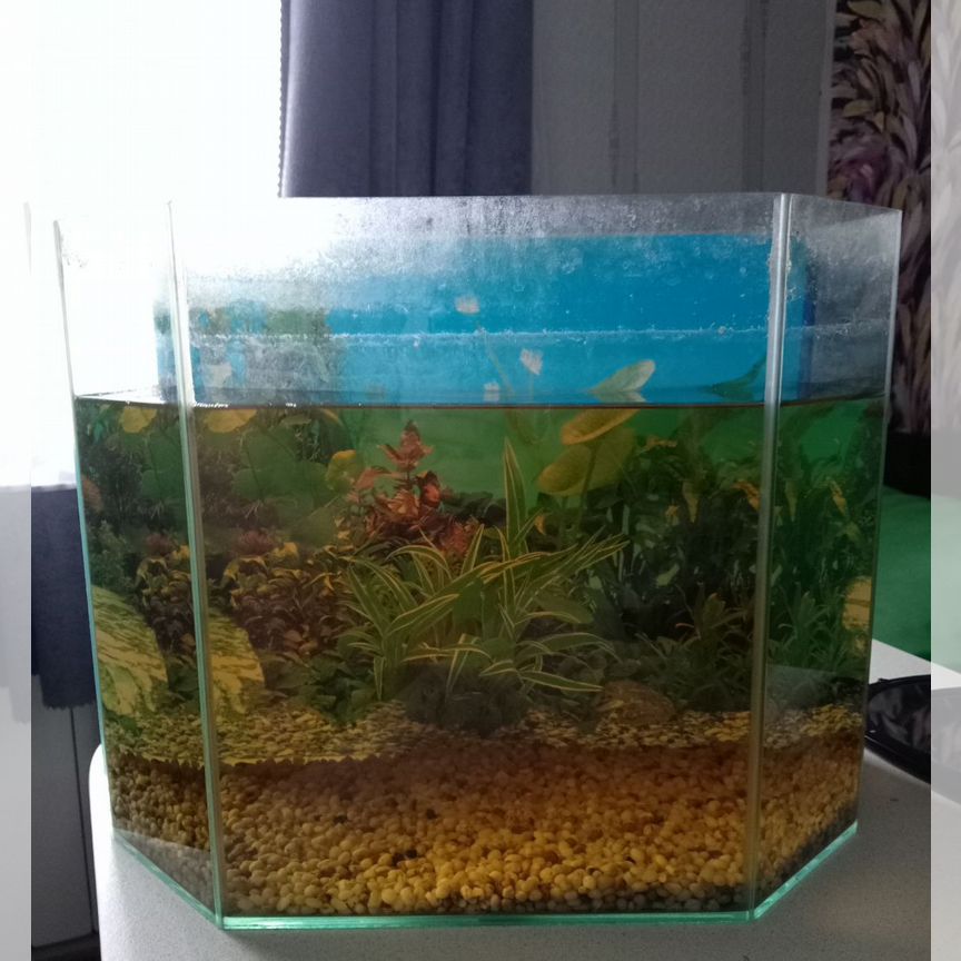 Аквариум