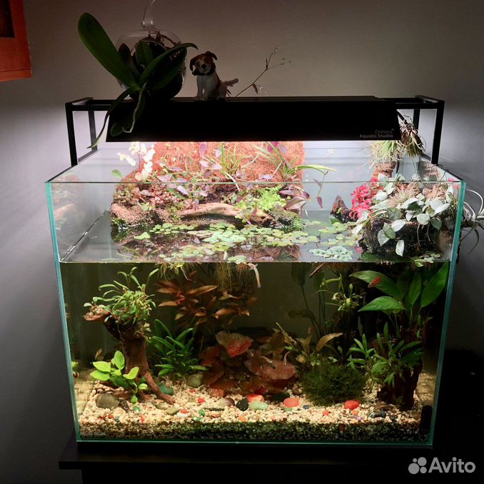 Аквариум-палюдариум, 80 л