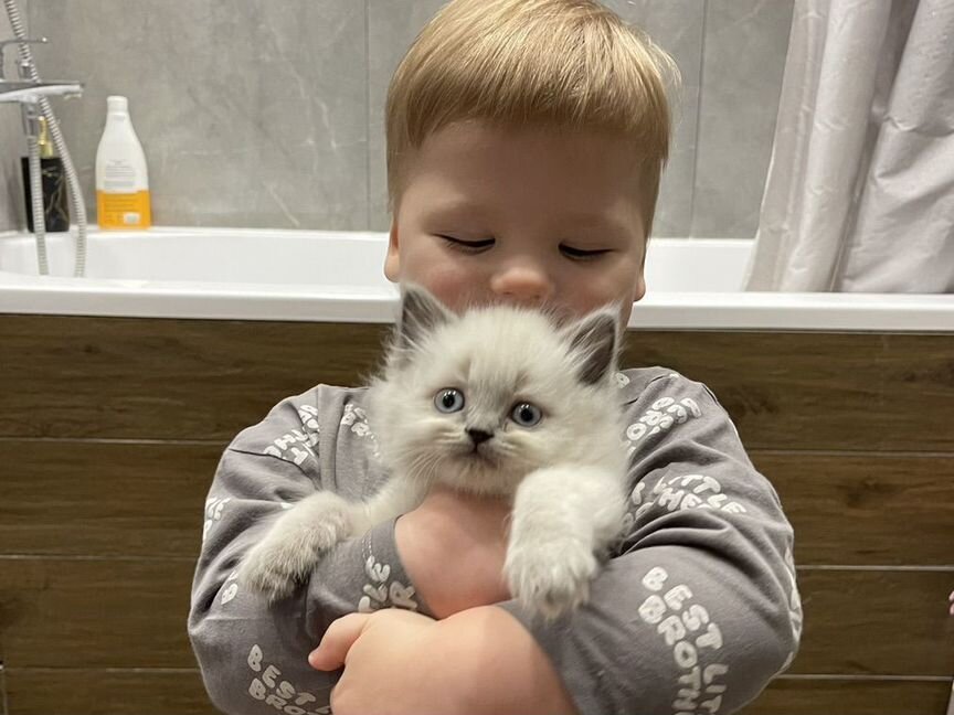 Невский маскарадный малыш