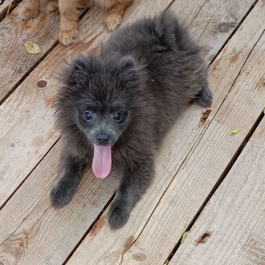 Самая лучшая девочка