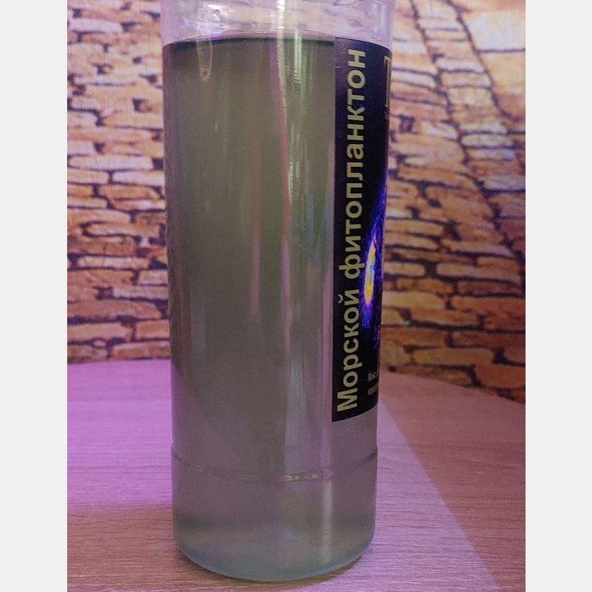 Тетросэлмис