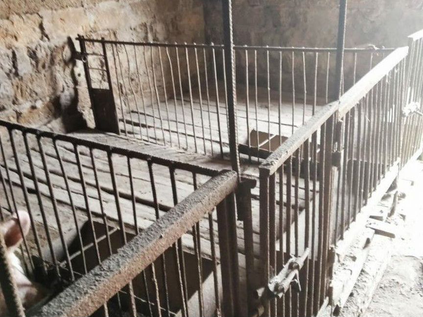 Кормушки клетки для домашних животных