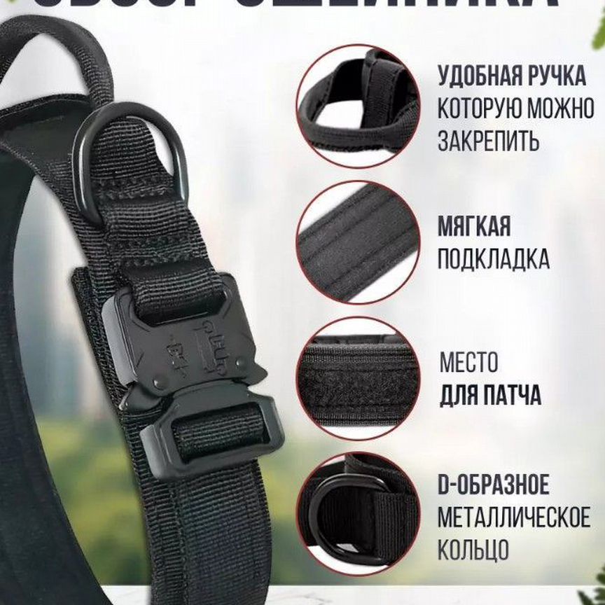 Ошейник для собак