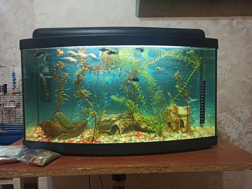 Аквариум со столом