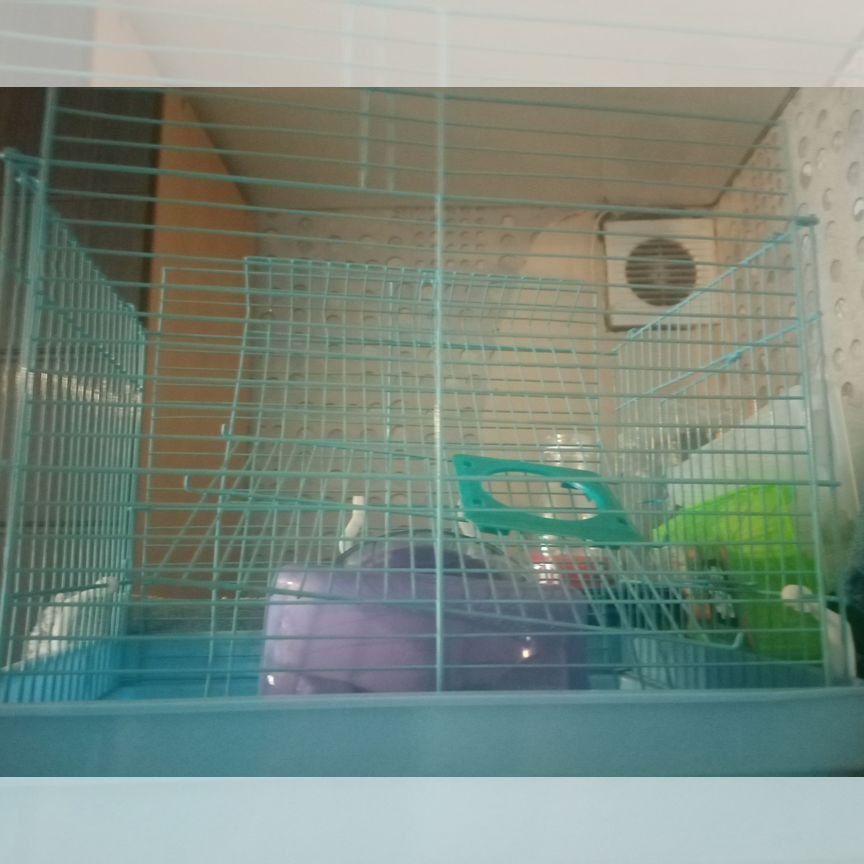 Клетка для хомяка