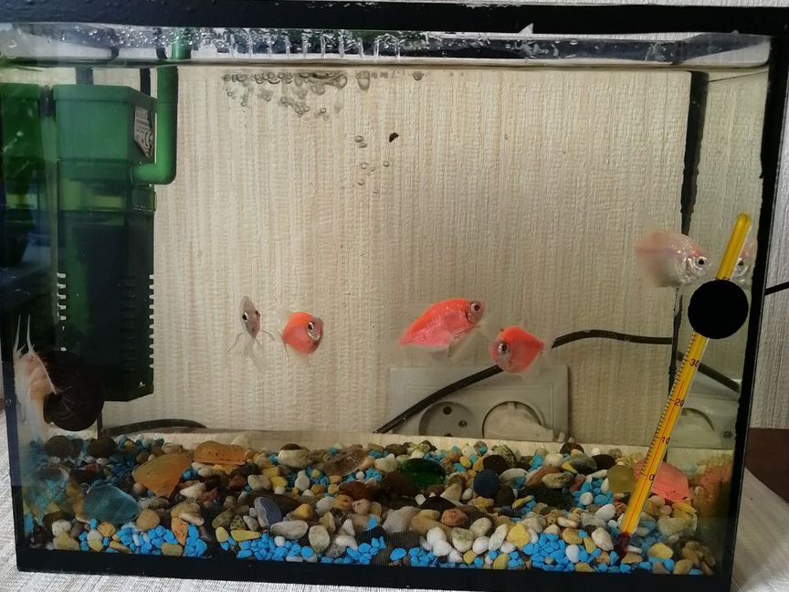 Украшение для аквариума