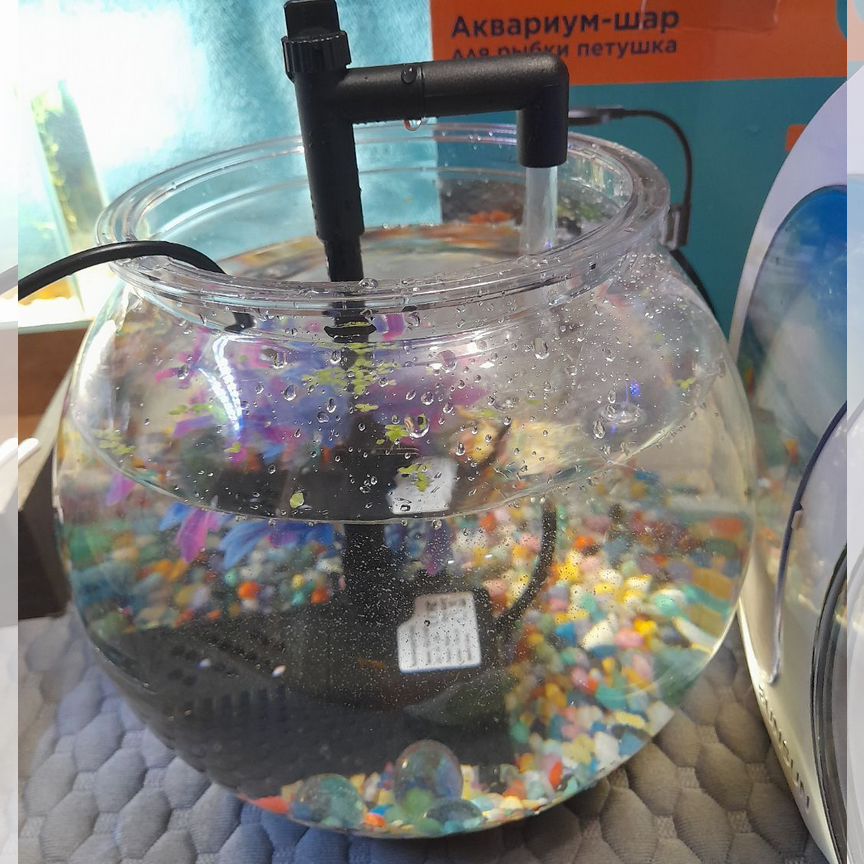 Аквариум круглый с рыбками
