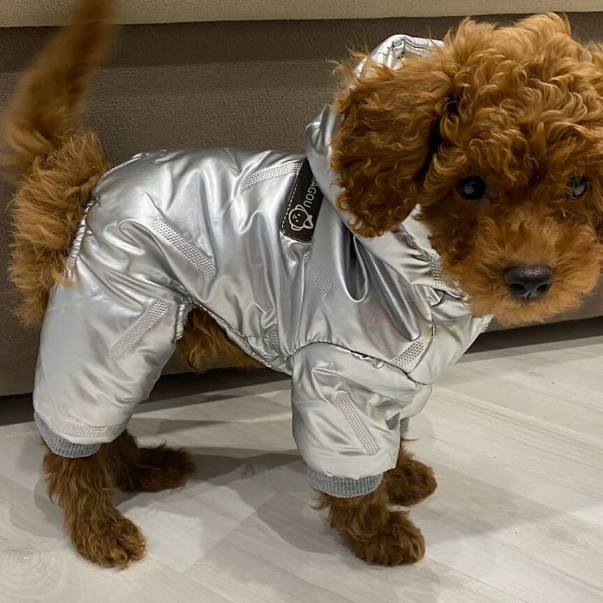 Зимняя куртка для собак