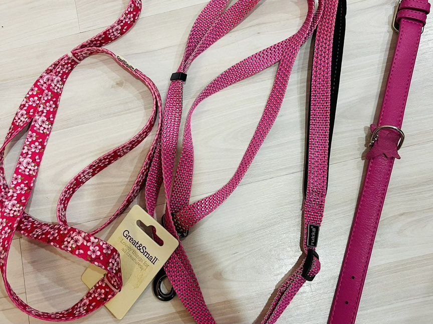 Фирменные ошейник и поводки