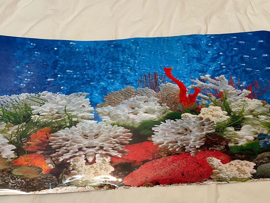 Задний фон для аквариума