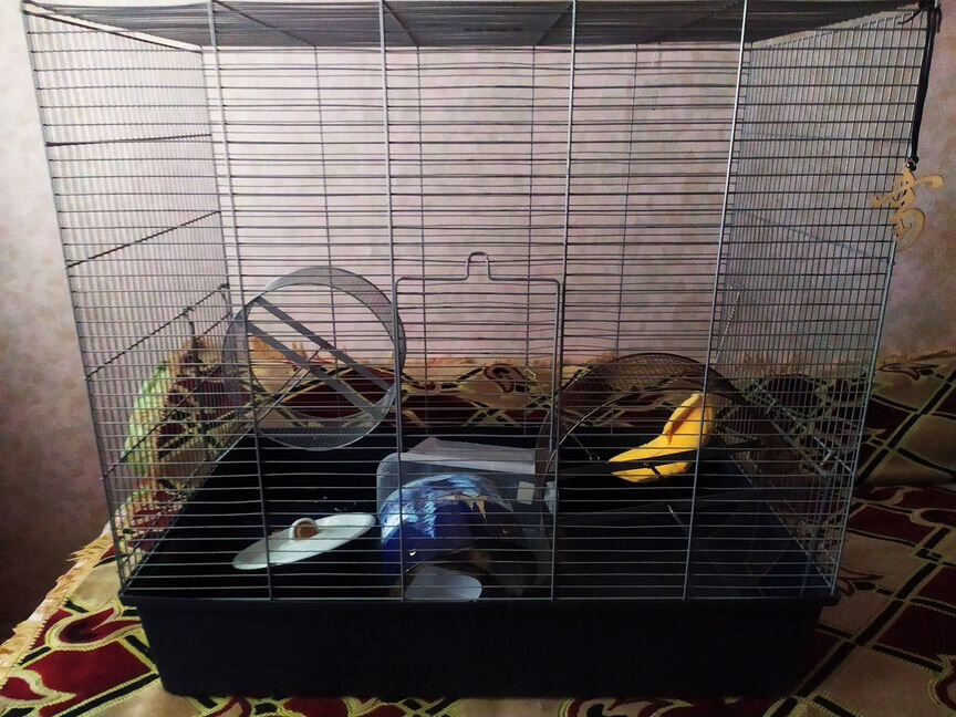 Клетка для животных