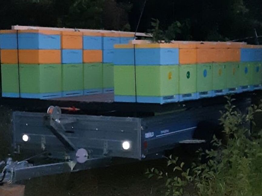 Платформа для перевозки пчел