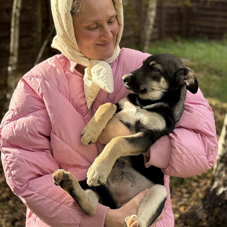 Щенок девочка в добрые руки