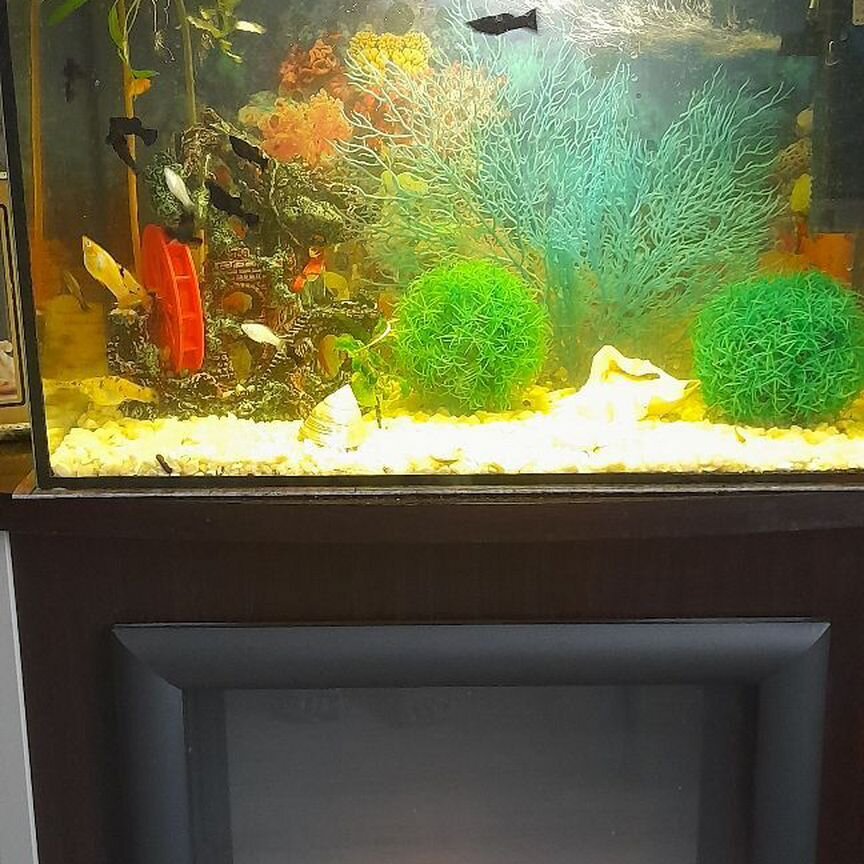 Аквариум 60л