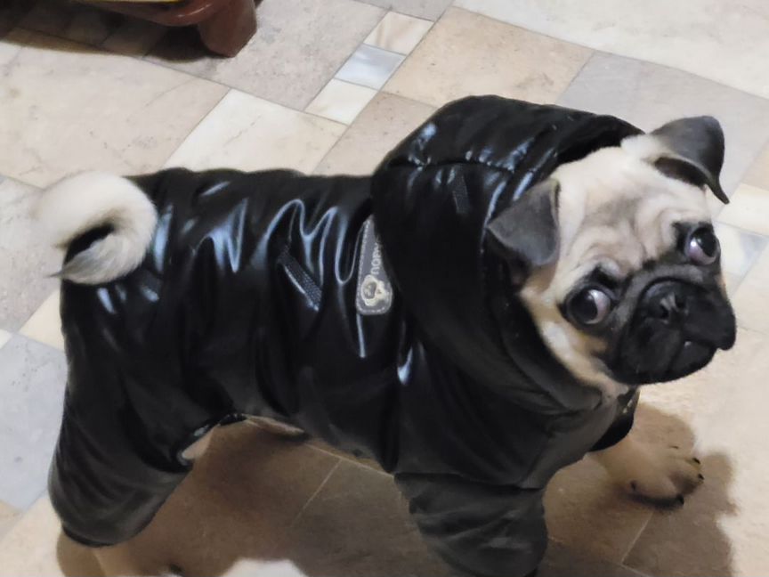 Боевой гном Гимли