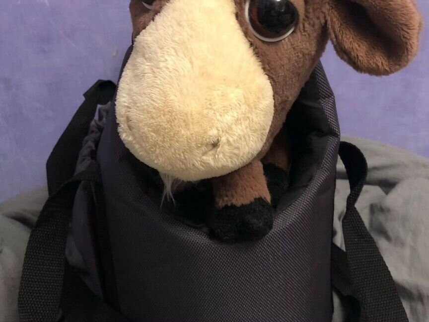 Сумка переноска