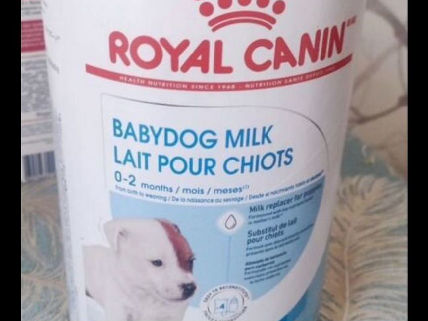 Заменитель собачьего молока