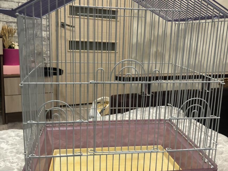 Клетка для грызунов с принадлежностями