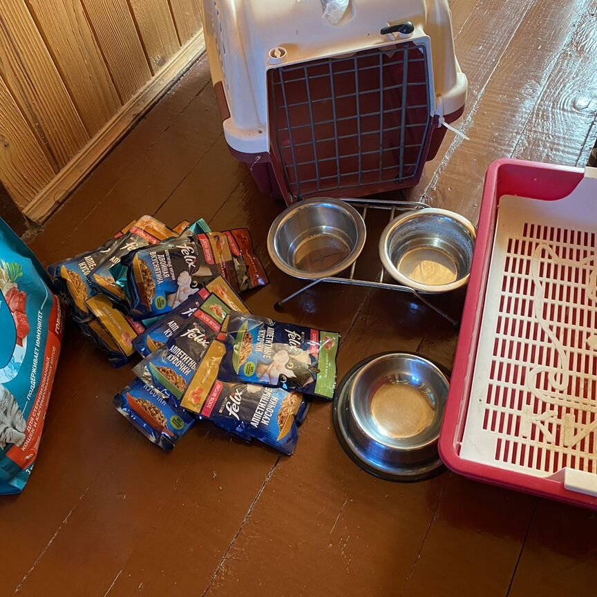 Переноска для животных пластиковая