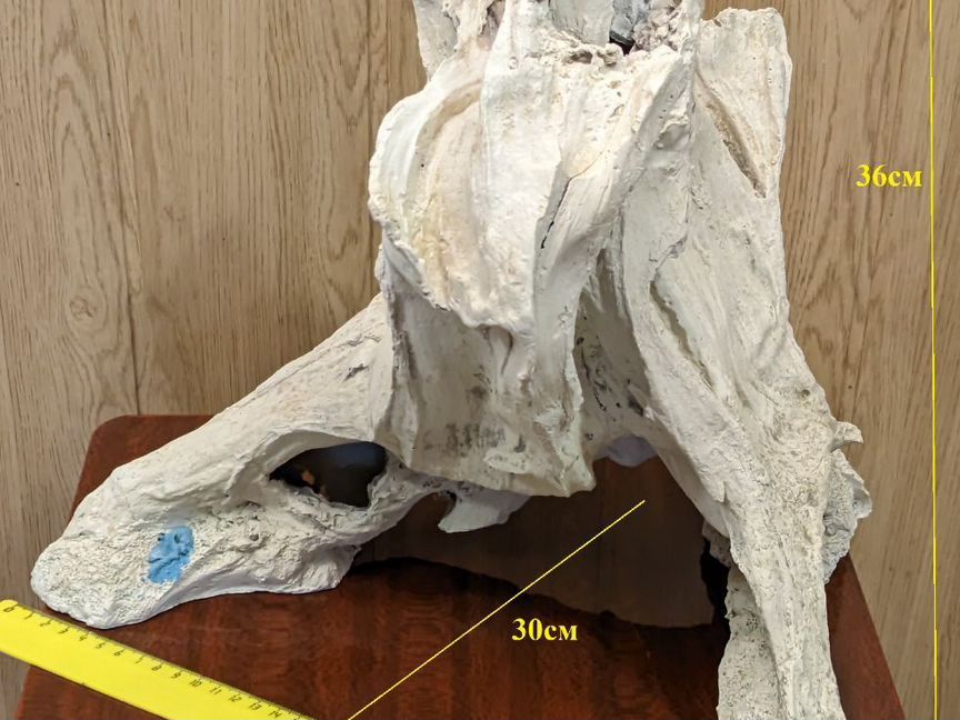 Декор для аквариума