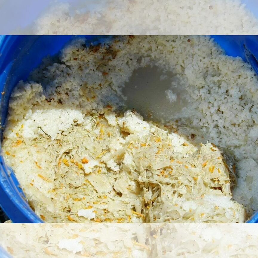 Пищевые отходы. Регулярный вывоз