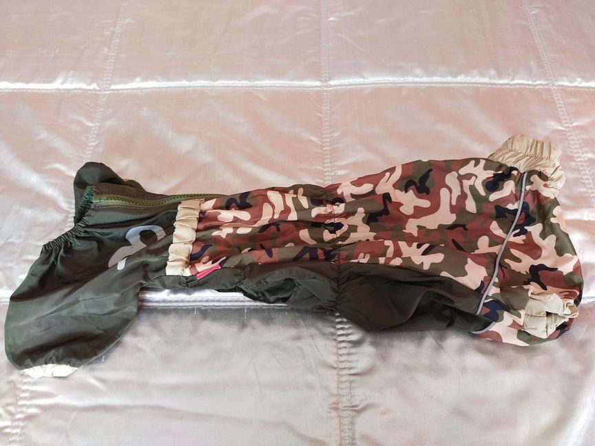 Одежда для собак