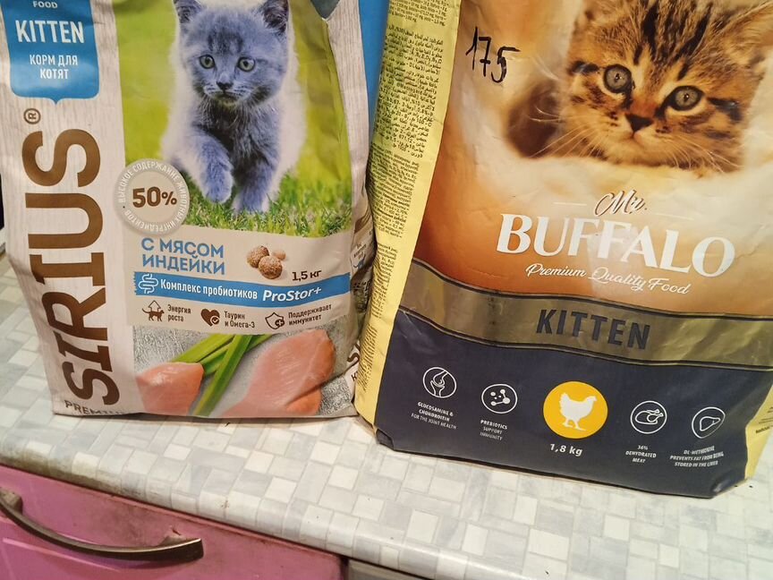 Корм для котят