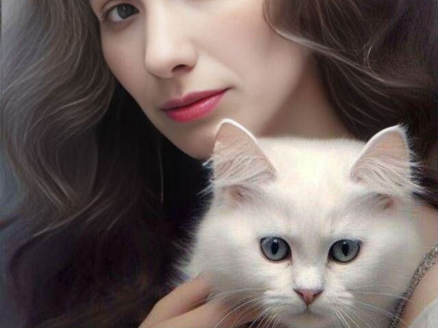 Сибирская чёрная кошечка
